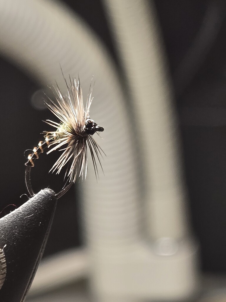 Still learning - All about flies - FlyAnglers Online