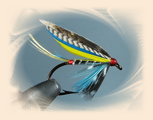 "Silver Doctor Wet Fly - Fly Angler's Online Volumn 12 week 8