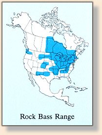 Fly Angler's OnLine "Rock Bass - Part 109"