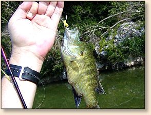 Texas Two Fly - Fly Angler's OnLine Pan Fish Part 210