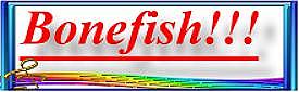 Fly Angler's OnLine "World Wide Fishing, "Bahamas - Bonefish"