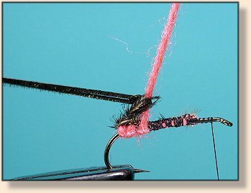 Woven Hackle Flies-Advanced Fly Tying - Fly Angler's OnLine - Part 3"