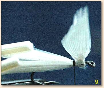 "Slip Wings, Traditional English Method, Volume 8 Week 46 - Fly Angler ...