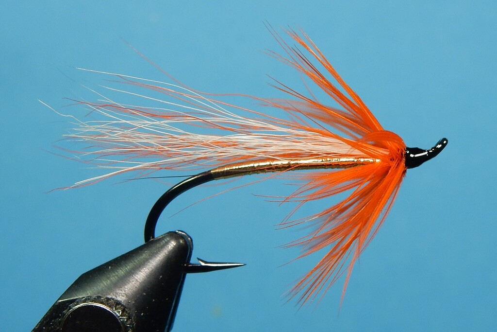 Fall Fancy - All about flies - FlyAnglers Online