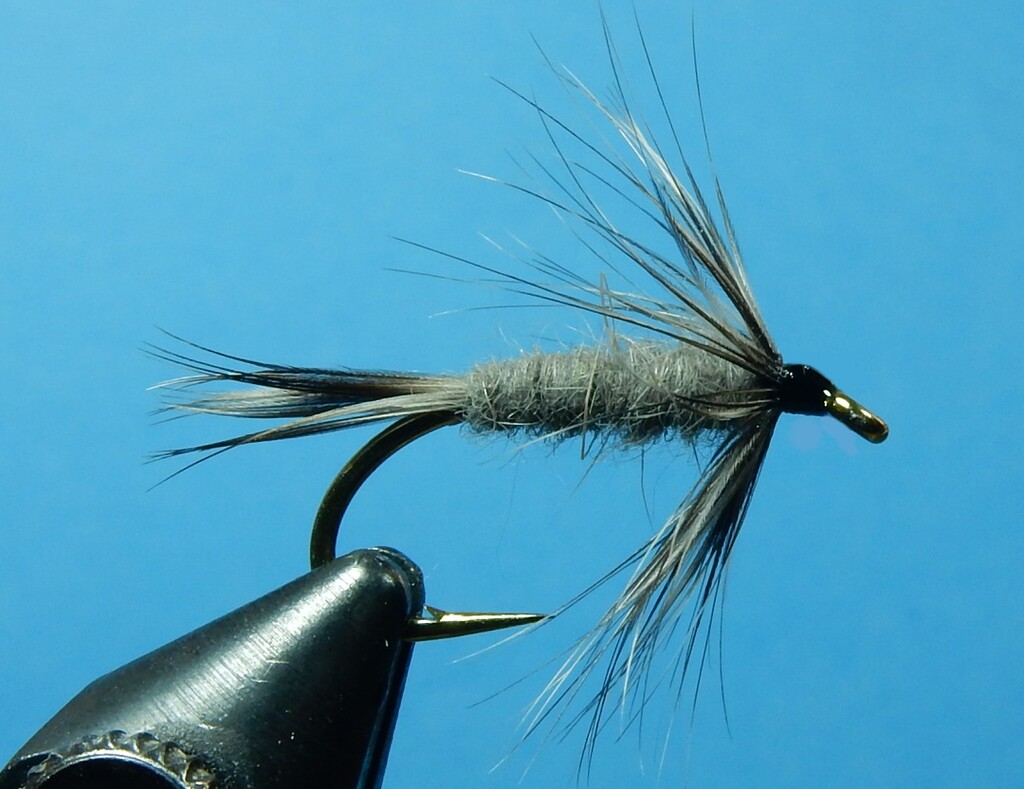 Soft Hackles Thread - All about flies - FlyAnglers Online