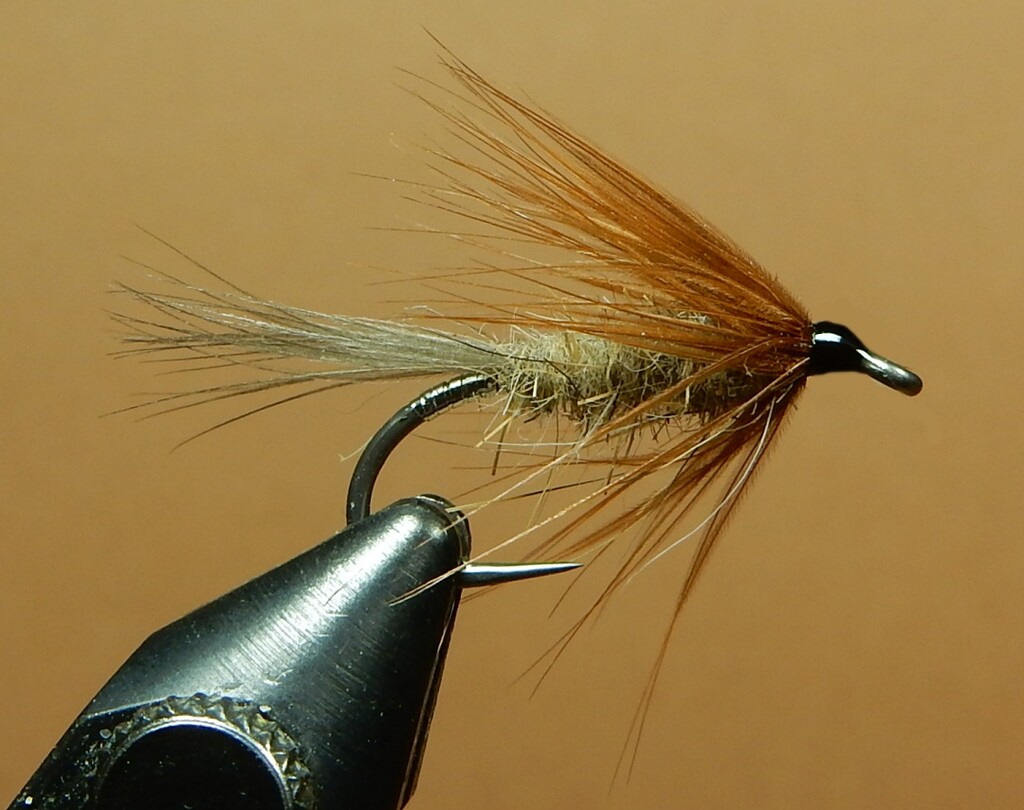 Ash Fox - All about flies - FlyAnglers Online