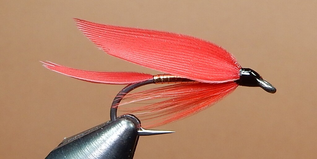 Golden Ibis - All about flies - FlyAnglers Online