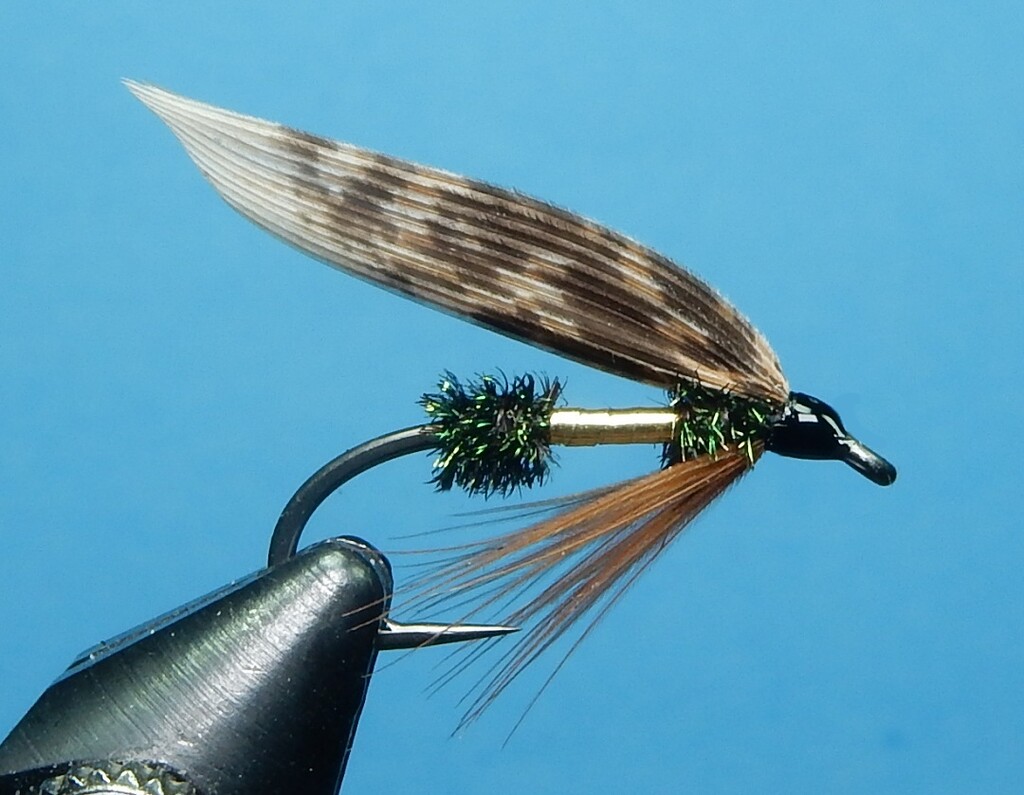 Shad Fly - All about flies - FlyAnglers Online