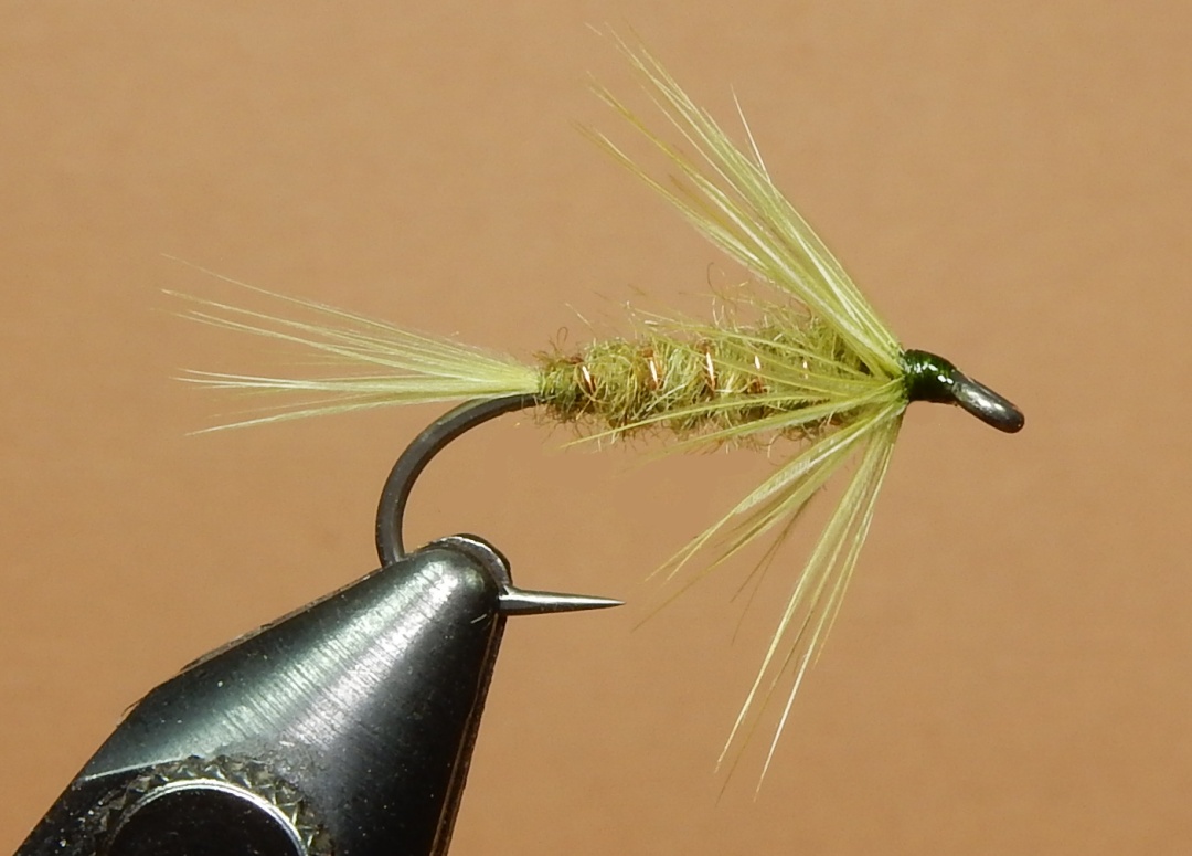 Soft Hackles Thread - All about flies - FlyAnglers Online