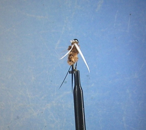 Trash fly - All about flies - FlyAnglers Online