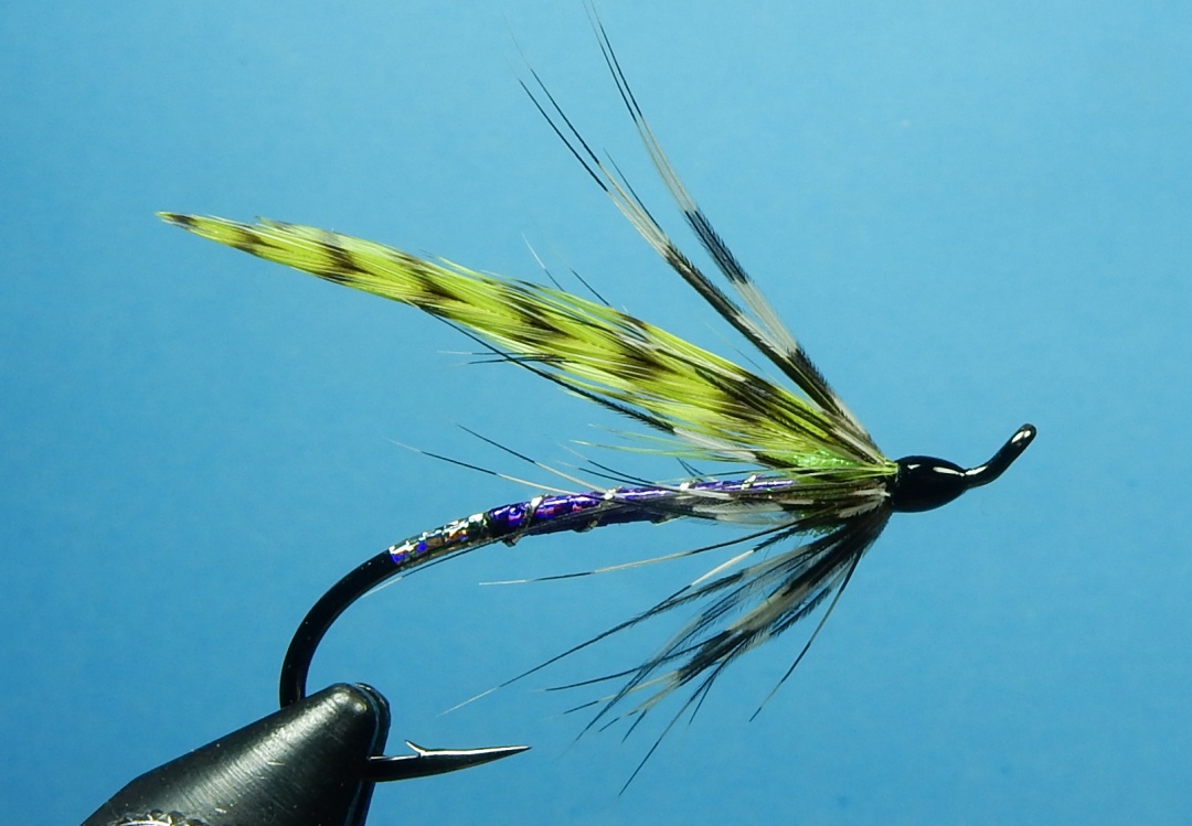 Violet Femme - All about flies - FlyAnglers Online